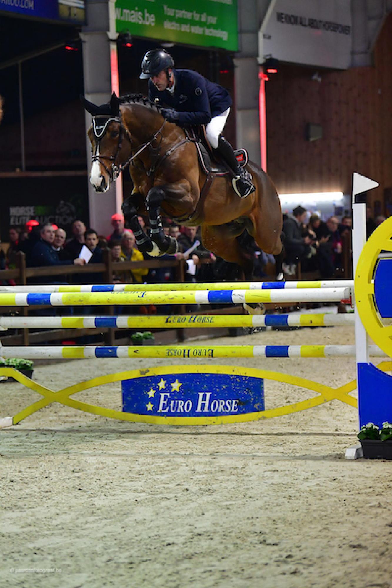 Good first stallion competiton | Van De Heffinck